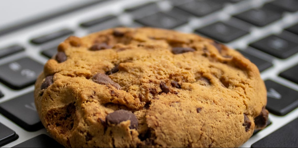 Cookie policy | Sådan anvender vi cookies - Amesto